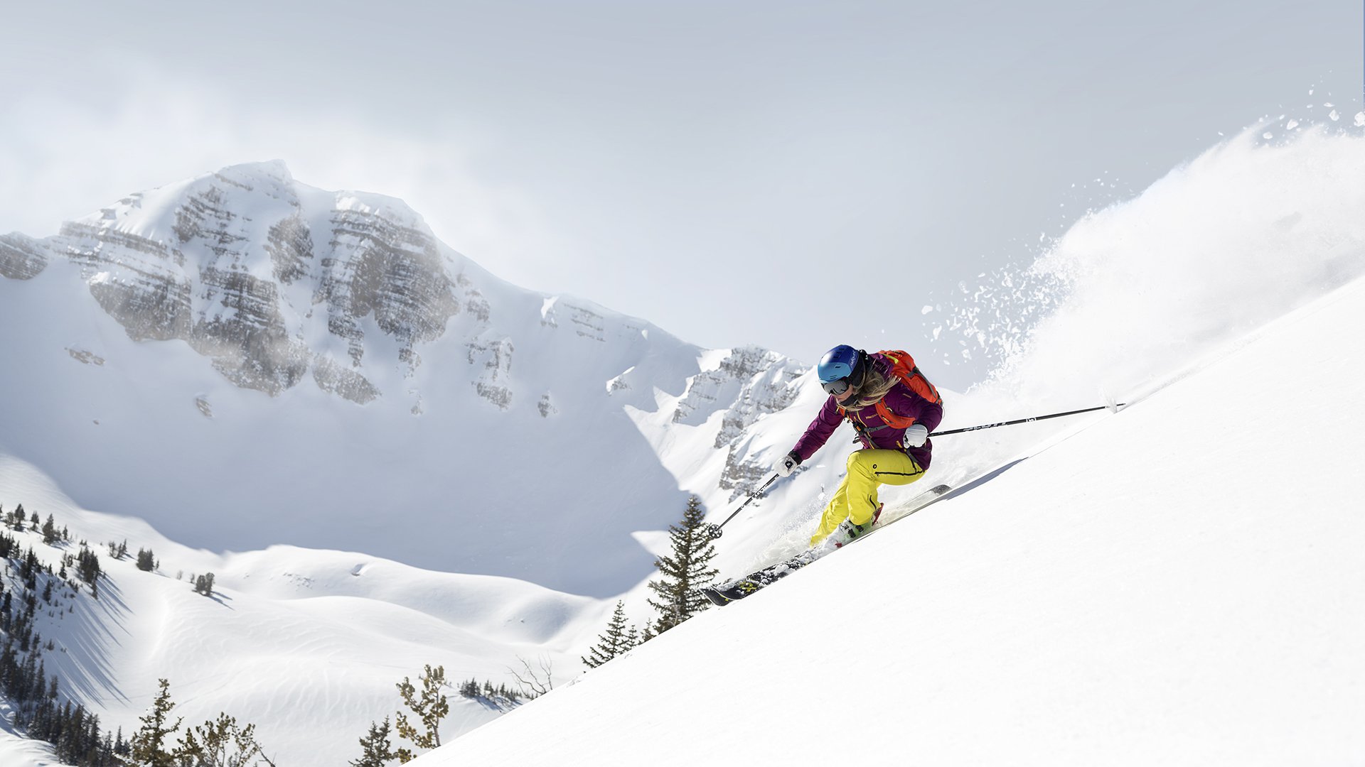 Visit Jackson Hole - Jackson Hole Wyoming Visitor Information